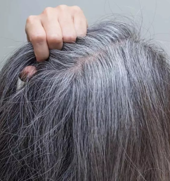 Hoe grof grijs haar te verzachten - Dutch Hairshop